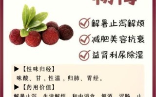 吃杨梅有什么好处_杨梅的功效与作用