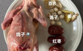 鸽子怎么蒸好吃又营养_蒸鸽子汤的做法步骤