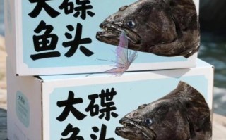 鸦片鱼头贵还是鱼身贵_价格差异原因