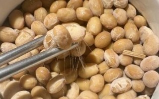 不用纳豆菌怎么做纳豆_家常版零失败做法