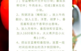 上海罗宋汤怎么做_正宗罗宋汤做法步骤