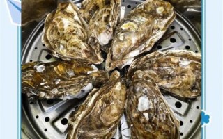 生蚝怎么做好吃_清蒸生蚝需要几分钟