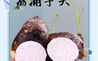 广西芋头有什么功效_广西芋头怎么吃最好