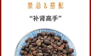 淡豆豉长什么样_淡豆豉图片真假怎么辨别