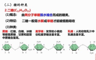 麦芽糖水解方程式_麦芽糖水解产物是什么