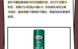 干酪粉是什么东西_干酪粉怎么用