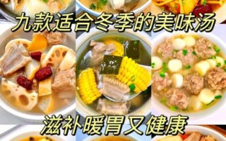 冬季营养汤的做法大全_如何炖出暖胃又滋补的汤