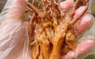 鸭舌为什么那么贵_鸭舌价格高的原因