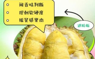 榴莲一直不开口怎么办_怎么判断榴莲熟没熟