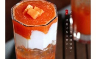 木瓜果汁怎么做_木瓜果汁的做法大全
