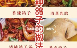 乳鸽怎么做好吃_乳鸽的家常做法步骤