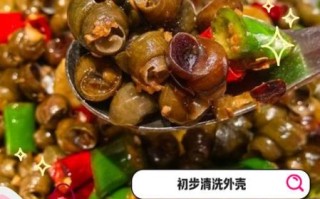 野生大田螺怎么清洗_野生大田螺怎么炒好吃