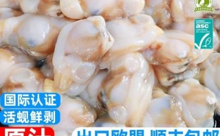 冷冻蚬子肉怎么做好吃_冷冻蚬子肉的做法大全