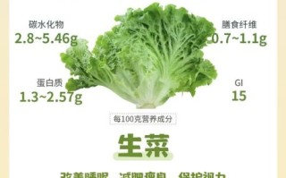 生菜的营养价值_生菜能减肥吗