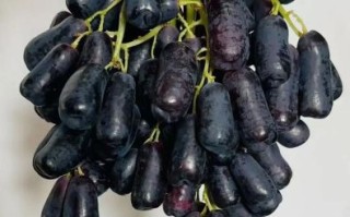 蓝宝石葡萄多少钱一斤_蓝宝石葡萄价格行情