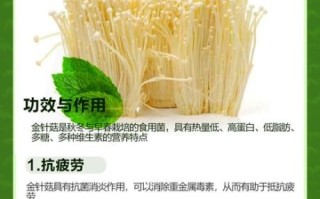 金针菇热量高吗_金针菇营养价值有哪些
