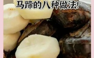马蹄是什么食材_马蹄怎么吃最好吃