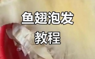新鲜鱼翅怎么泡发_鱼翅家常做法步骤