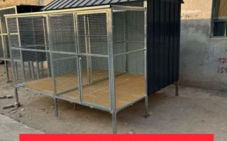 肉鸽养殖大棚怎么建_肉鸽大棚设计图要点