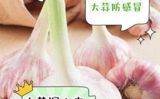 大蒜快速止泻的方法_大蒜止泻怎么做最快