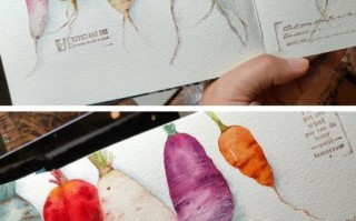 萝卜开会是什么_萝卜开会怎么用