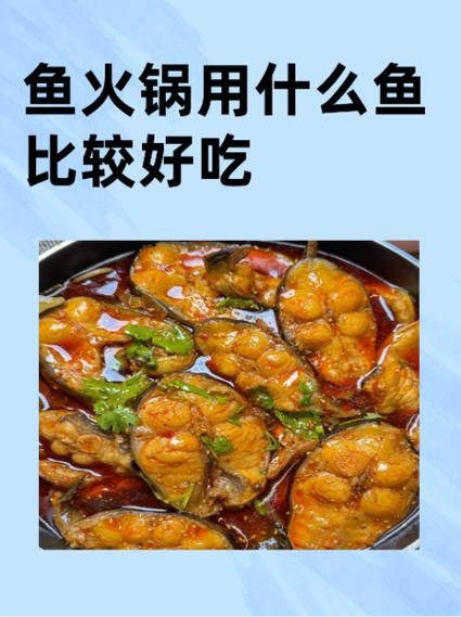 涮鱼火锅怎么做_涮鱼火锅用什么鱼最好-第1张图片-山城妙识