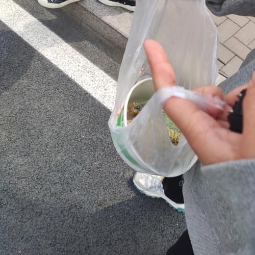 绿茶佛饼怎么做_绿茶佛饼做法视频教程-第3张图片-山城妙识 绿茶佛饼怎么做_绿茶佛饼做法视频教程-第3张图片-山城妙识