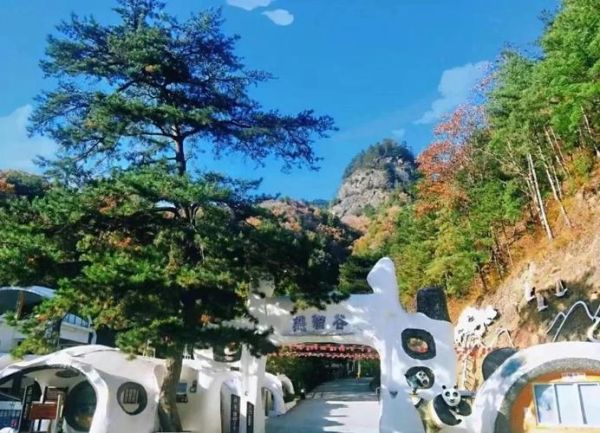 佛坪旅游攻略_佛坪有哪些景点-第3张图片-山城妙识