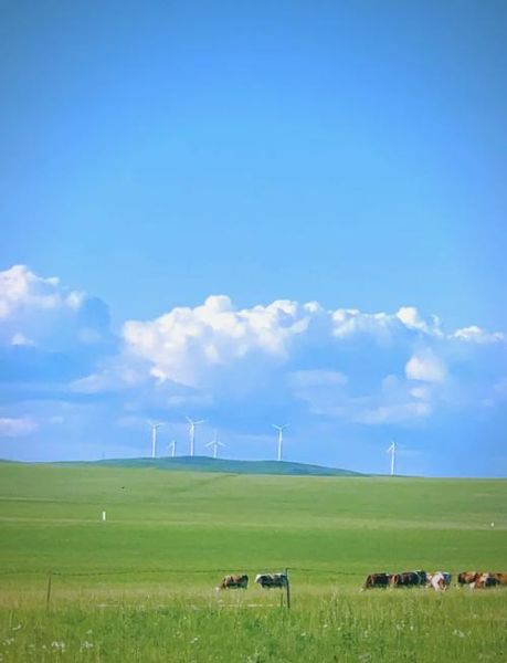 内蒙古旅游必去景点有哪些_内蒙古草原旅游最佳时间-第2张图片-山城妙识
