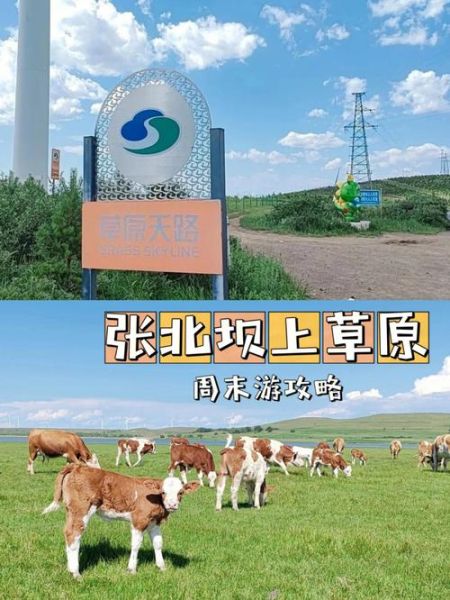 张北附近有哪些景点_张北草原天路自驾攻略-第3张图片-山城妙识