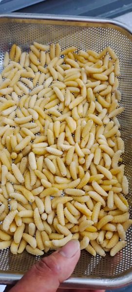 蜂蛹怎么做好吃_蜂蛹的家常做法大全-第3张图片-山城妙识