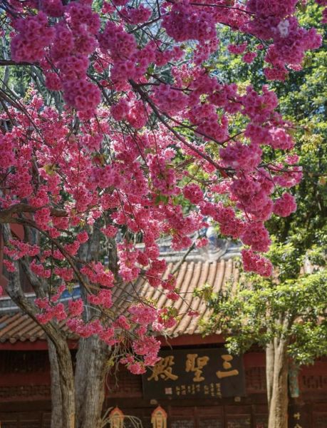 西昌旅游必去景点有哪些_邛海泸山怎么玩-第2张图片-山城妙识