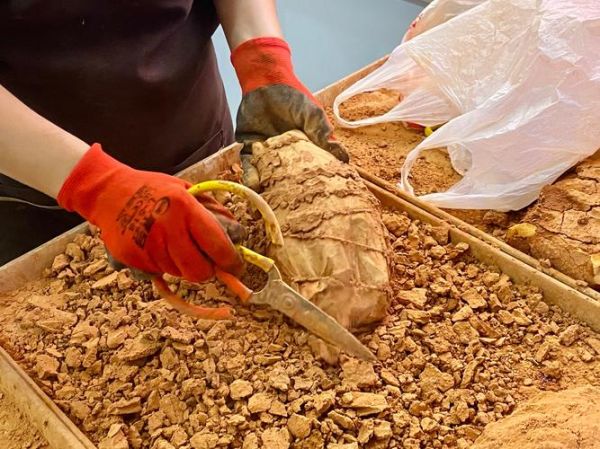 叫花鸡怎么做_正宗叫花鸡做法视频-第1张图片-山城妙识