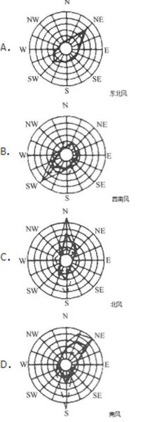 地理风向图怎么看_风向玫瑰图怎么画-第1张图片-山城妙识