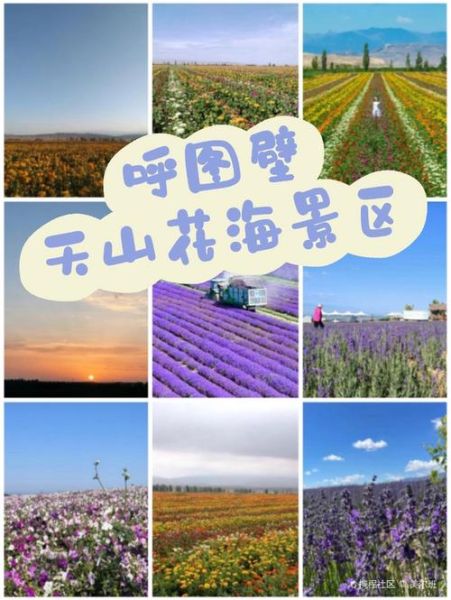 呼图壁景点有哪些_呼图壁一日游怎么安排-第3张图片-山城妙识 呼图壁景点有哪些_呼图壁一日游怎么安排-第3张图片-山城妙识