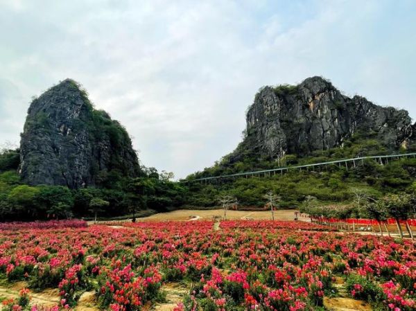 阳春旅游景点有哪些_阳春最值得去的地方-第1张图片-山城妙识