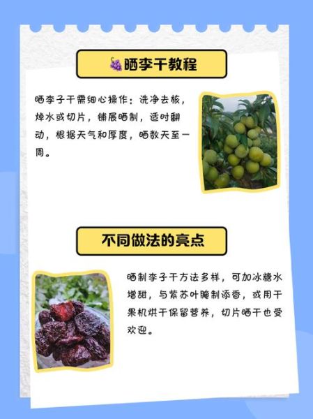 李子干怎么做_李子干晒多久才够甜-第1张图片-山城妙识 李子干怎么做_李子干晒多久才够甜-第1张图片-山城妙识