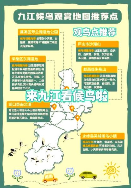 鄱阳湖一日游路线_鄱阳湖观鸟最佳时间-第1张图片-山城妙识