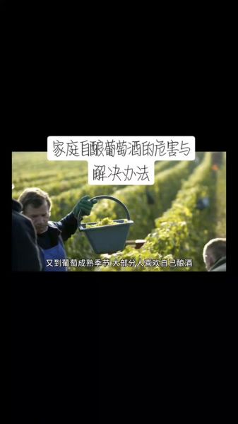 葡萄酒怎么做_家庭自酿葡萄酒步骤-第3张图片-山城妙识