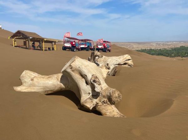 鄯善县旅游景点有哪些_库木塔格沙漠怎么去-第3张图片-山城妙识 鄯善县旅游景点有哪些_库木塔格沙漠怎么去-第3张图片-山城妙识