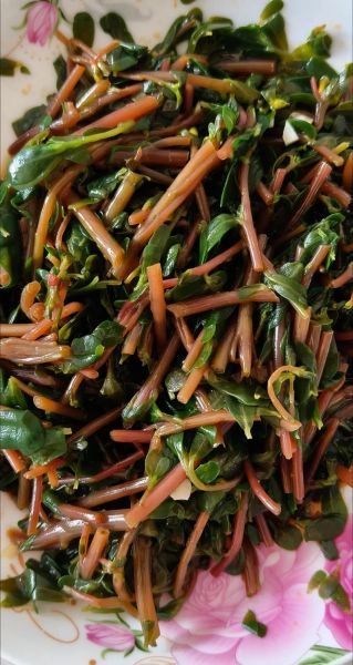 马齿苋凉拌怎么做_马齿苋凉拌需要焯水吗-第2张图片-山城妙识