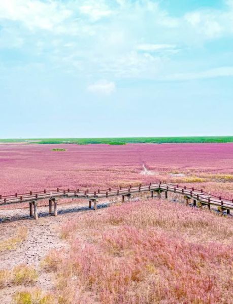 锦州海边哪里好玩_锦州看海最佳时间-第1张图片-山城妙识