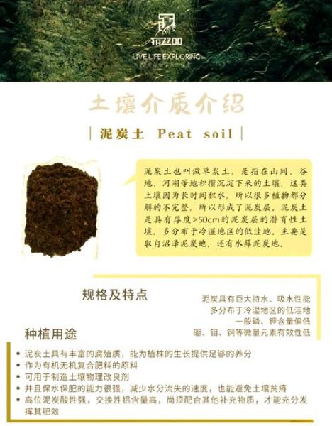 黄土高原适合种什么农作物_如何改良土壤-第1张图片-山城妙识