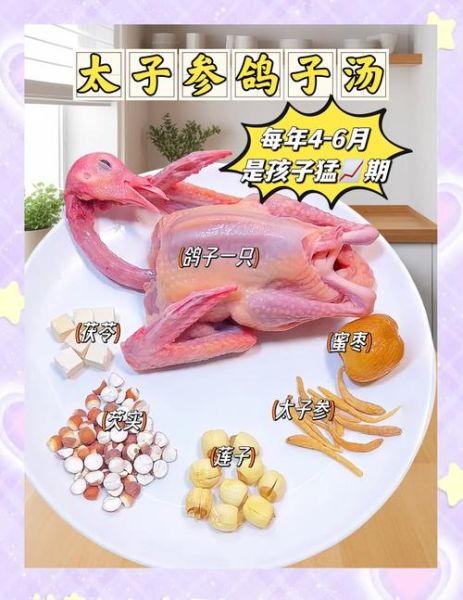 鸽子汤怎么炖好喝_鸽子汤的做法步骤-第1张图片-山城妙识