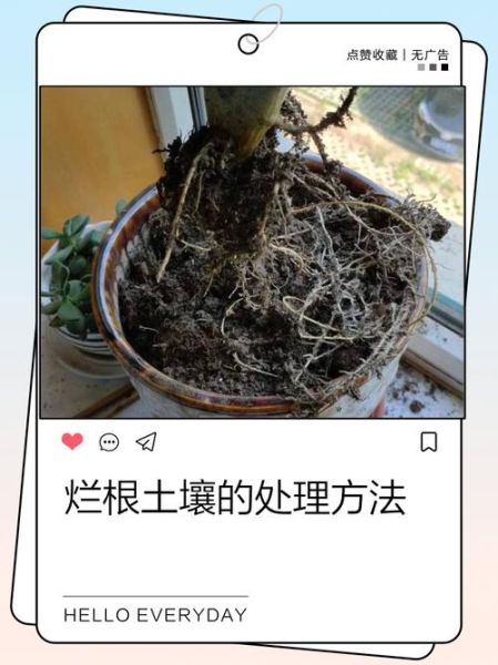 烂地理怎么改善_烂地理能学好吗-第1张图片-山城妙识