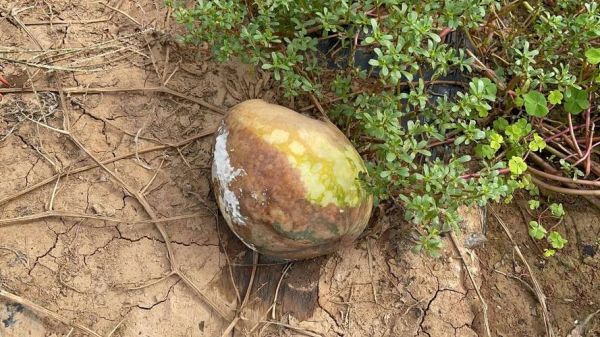 烂地理怎么改善_烂地理能学好吗-第2张图片-山城妙识