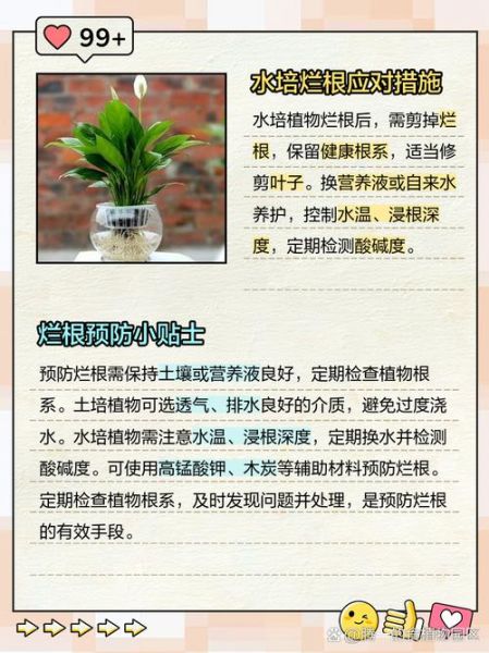 烂地理怎么改善_烂地理能学好吗-第3张图片-山城妙识