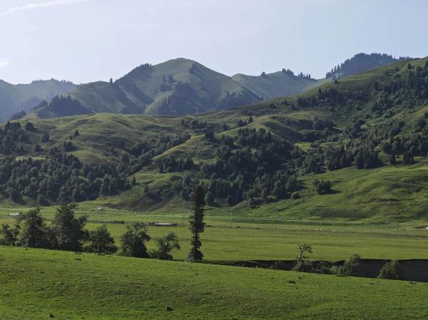 尼勒克有哪些值得去的景点_尼勒克旅游最佳时间-第3张图片-山城妙识