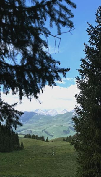 尼勒克有哪些值得去的景点_尼勒克旅游最佳时间-第2张图片-山城妙识