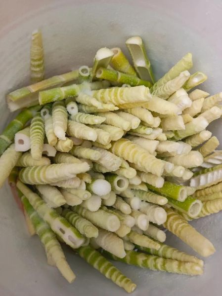 春笋怎么炒好吃_新鲜竹笋怎么处理不涩-第2张图片-山城妙识